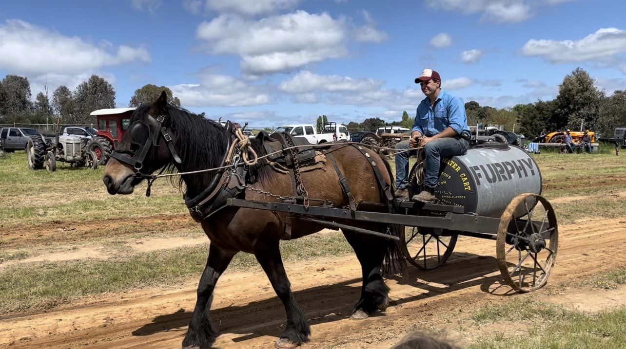 Furphy Water Cart – Marlie Draught Horse Stud